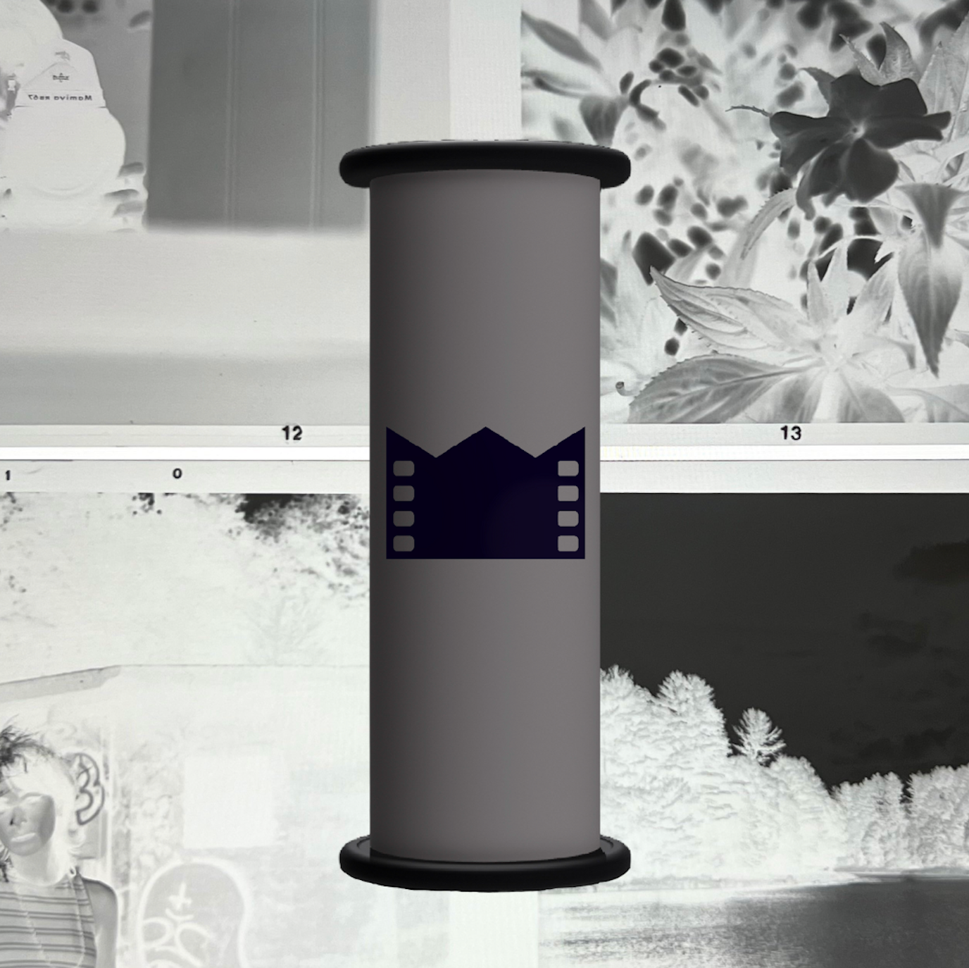 120 B&W Negative Processing | Royal We Film Lab